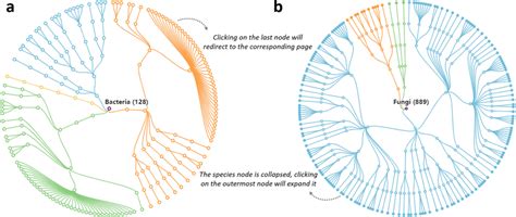 Data Visualization For The Taxonomy Of Endophytic Microorganisms In