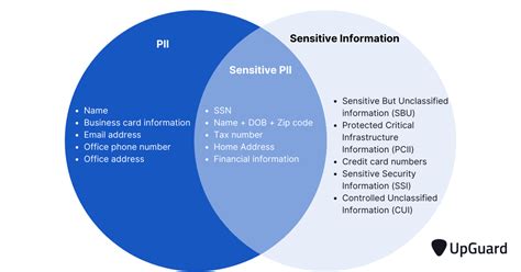 What Is Personally Identifiable Information Definition Examples