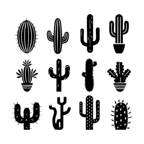 Cactus Vector Vectors And Illustrations For Free Download