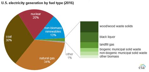Biomass Energy Graphs