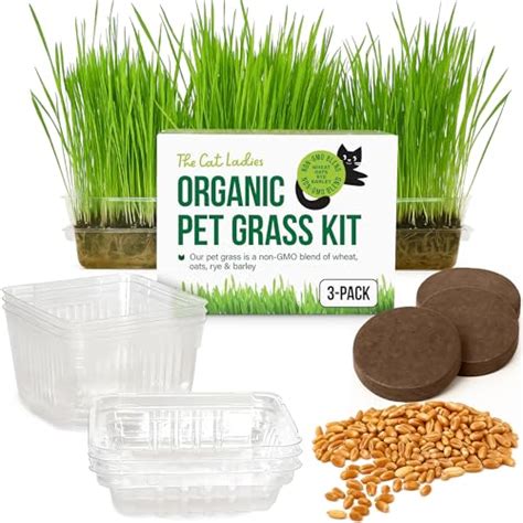 10 Best Cat Grasses 2025
