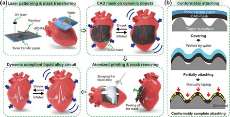Schematic Illustrations Of Printing Dynamic Compliant Liquid Alloy