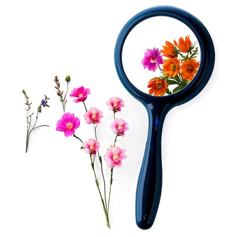 Download Floral Hand Mirror Png 06212024