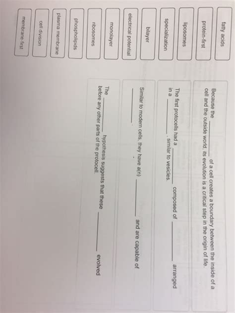 Solved Because The Of A Cell Creates A Boundary Chegg