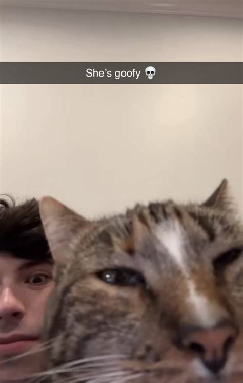 Dtqk Updates On Twitter George Posted On His Snap Story Https