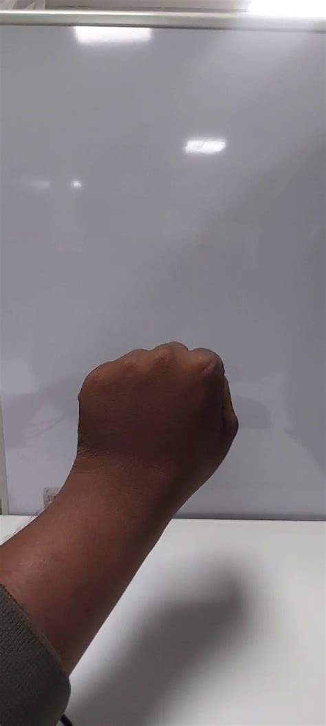 Handsegmentation Instance Segmentation Model By Flower Labeling