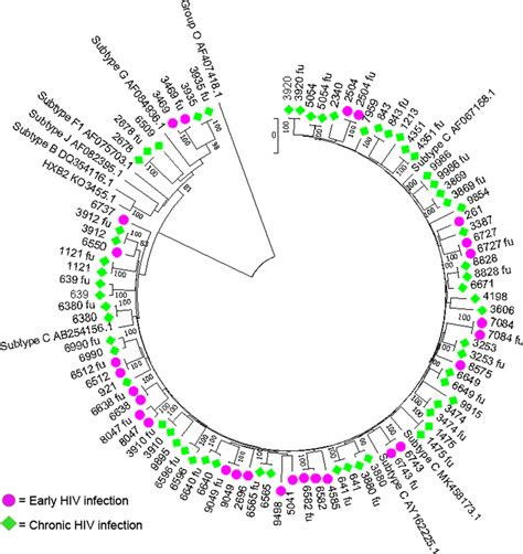 Neighbour Joining Phylogenetic Tree Of All Samples Including Sample