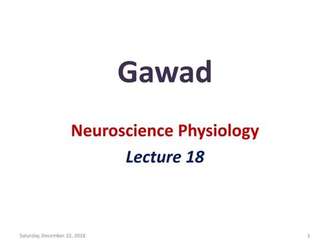 Lecture 18 Ppt Pdf Brain And Nervous System Disorders Diseases And Conditions