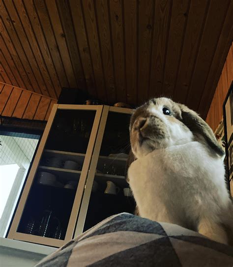 I Dont Feel Safe Rmurderbuns