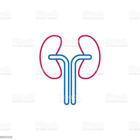 의료 신장 색깔 아이콘입니다 의학 그림의 요소입니다 표시 및 기호 아이콘은 웹 로고 모바일 앱 Ui Ux에 사용할 수 있습니다 간 내부 기관에 대한 스톡 벡터 아트 및 기타