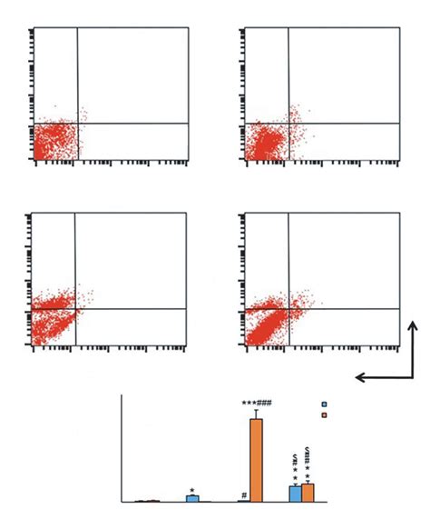 Flow Cytometry Results Of Annexin Vpi Staining Mean ± Sd N 3