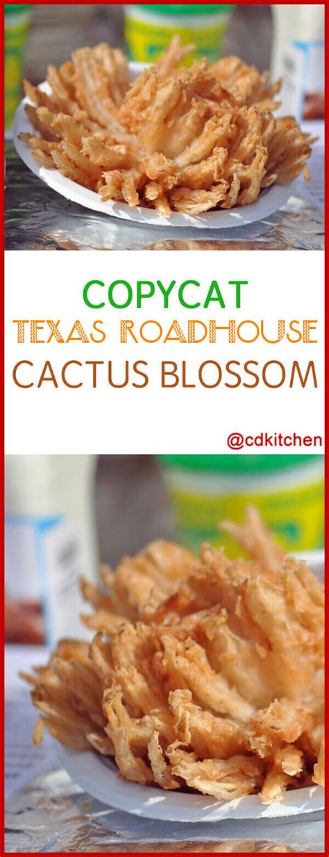 Texas Roadhouse Cactus Blossom Sauce Recipe Find Vegetarian Recipes
