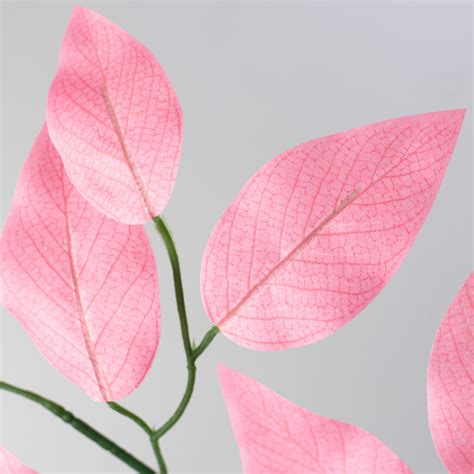 23 Ficus Leaf Spray Light Pink 12