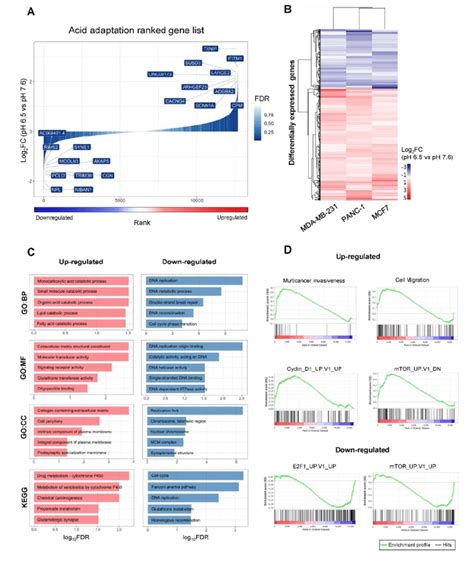Identification Of A Shared Acid Adaptation Expression Response A