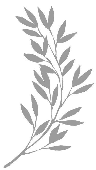 Флоатинг спа и массаж в Екатеринбурге Eco Float