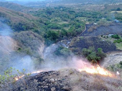 Seis Incendios Forestales Se Mantienen Activos Lanacion