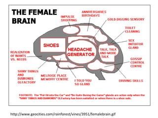 Sexism In Language PPT