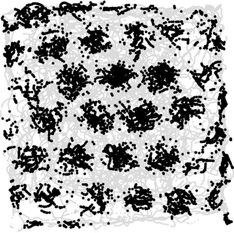 Discovering Grid Cells Moser Group Kavli Institute For Systems Neuroscience Ntnu