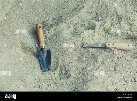 Shovel In The Sandskeleton And Archaeological Toolsdigging For