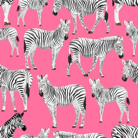 Zebra Wallpapers Backgrounds Zebra Against Black Background Tavelbutiken
