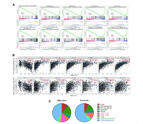 Functional Analysis Of The Cd74 And Tspan7 A Gsea Identified Gene