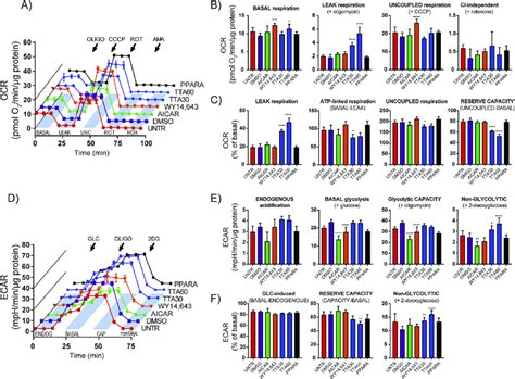 Analysis Of Mitochondrial Respiration And Glycolysis Oxygen