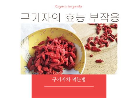 구기자의 효능 부작용 구기자차 먹는 법
