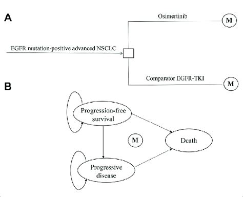 Model Structure Of A Decision Tree Combining The Markov State