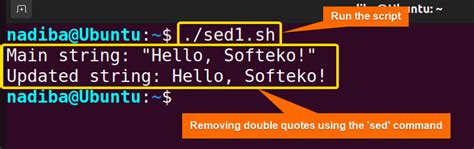4 Ways To Remove Or Strip Quotes From String In Bash With Cases