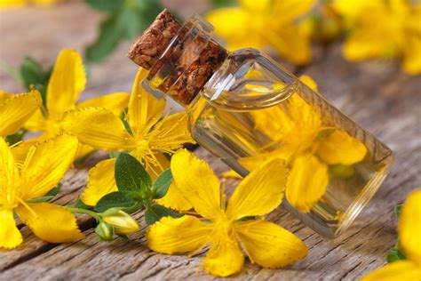 Aceite De Nabina Propiedades Usos Y Beneficios