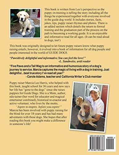 How Much Does A Guide Dog Trainer Earn