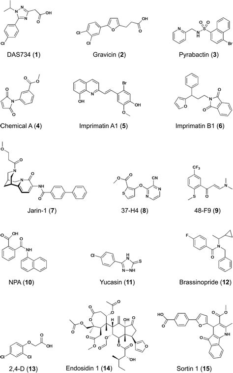 Compound Examples Chemistry
