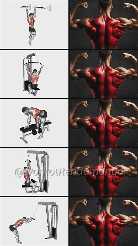 Shoulder And Back Exercises Workout Videos Back And Shoulder Workout