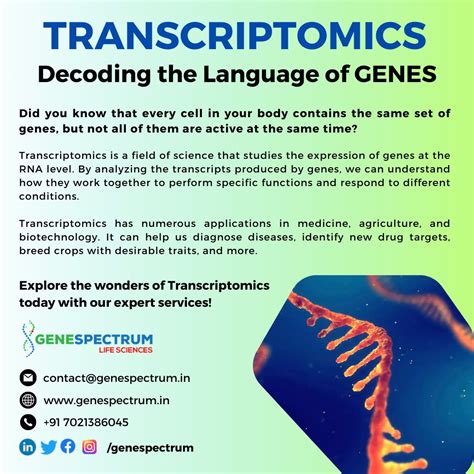 Genespectrum Life Sciences On Linkedin Transcriptomics Rnaseq Geneexpression Bioinformatics