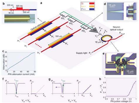 Photonic Electronic Neuron Implementation A The Schematic Of The Download Scientific