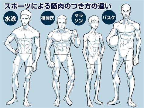 【イラスト豆知識】スポーツによる筋肉のつき方の違い ビジネスアニメ Male Body Drawing Body Reference