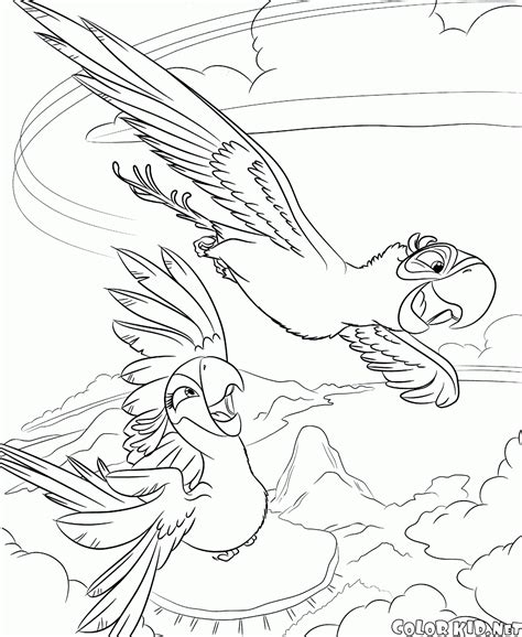 Coloring Page Rio