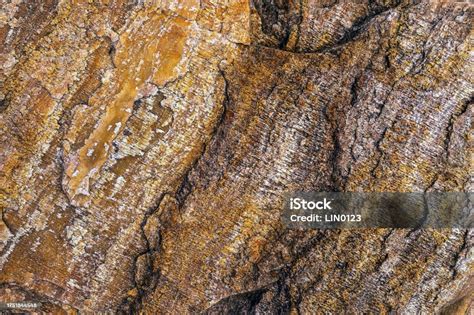 자연 생태학 돌 녹 질감 배경 추상 일반 돌 바위 건축 자재 모양 고체 대리석 화강암 바다 돌 벽 바닥 돌담 색상 자연 단순함 갈색에 대한 스톡 사진 및 기타 이미지