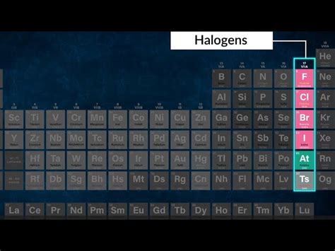 Periodic Table Halogens And Noble Gases