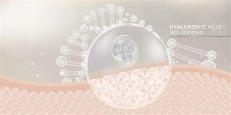 Cross Linked Hyaluronic Acid What Is It Cosmoderma