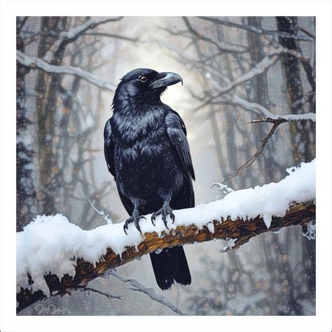 Winter Raven By Nine9nine9 On Deviantart