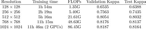 DR Grading Performance With Different Input Resolutions Two GPUs Are