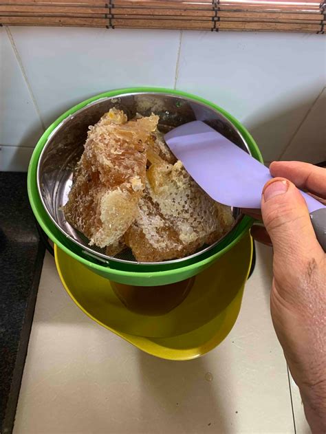 How To Extract Honey From Comb At Home Best Methods