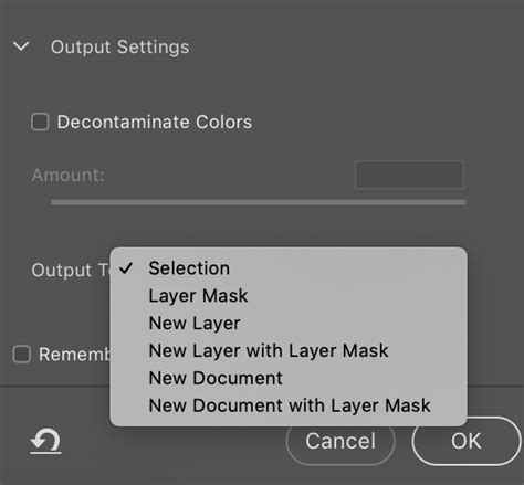 Video How To Use The New Select Object Tool In Adobe Photoshop 2020
