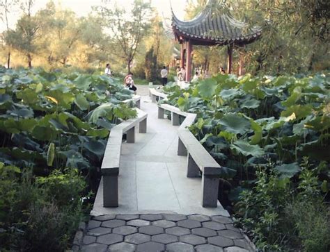 一顆璀璨的明珠明珠園 每日頭條