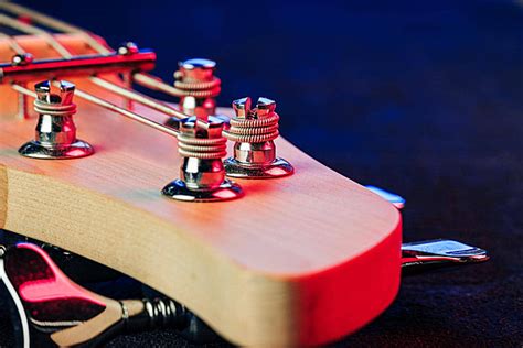 Fretless Bass Guitar Headstock Strings Graphic Vector Headstock