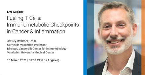 Agilent Cell Analysis On Linkedin Cellanalysis Tcells Immunology