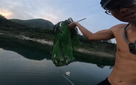 去别的地方钓不到鱼无奈只能来这里抽罗飞过过瘾 野战非洲鲫鱼 野战非洲鲫鱼 哔哩哔哩视频