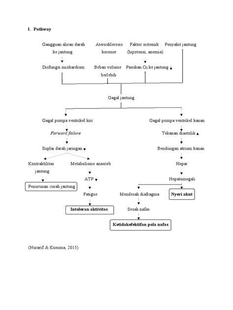 Congestive Heart Failure Pathway Pdf