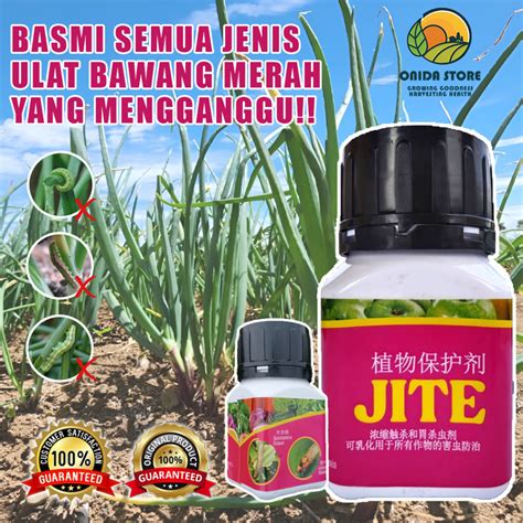 Jual Jite Jie Jit Spesialis Insektisida Pembasmi Hama Jite Isi